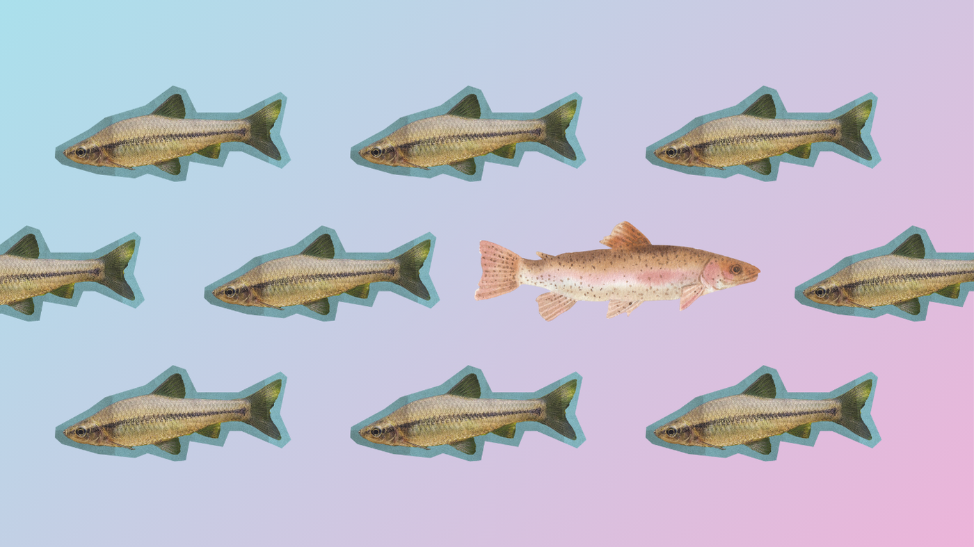 Brand building: How to lean into what makes you different - KOTA